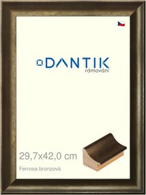 DANTIK rámeček 29,7x42 | Ferrosa bronzová (Plexi Čiré)