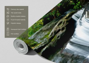 Fototapeta na zed' Lesní Vodopád | 360 x 254 cm | DFTS0478