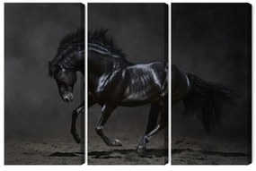 Vícedílný obraz Černý Kůň Ve Cvalu Nedostatek Nedostatek Plátno Canvas 120x80