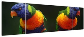 Obraz papoušků (170x50 cm)