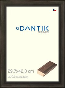 DANTIK rámeček 29,7x42 | Gočár šedá (Plexi Čiré)
