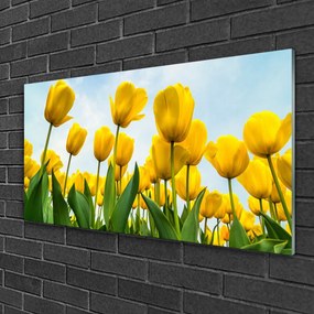 Obraz na skle Tulipány Květiny Rostlina 120x60 cm