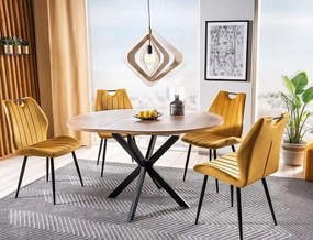 Čalouněná jídelní židle Arco Velvet - výběr z 4 provedení