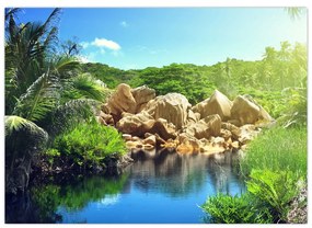 Skleněný obraz jezera v Seychelské džungli (70x50 cm)