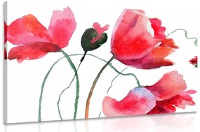 Obraz jedinečné květy máku - 60x40 cm
