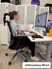Kancelářská ergonomická židle BESSEL s podhlavníkem — síť, černý plast, nosnost 120 kg, černá MERCURY STAR
