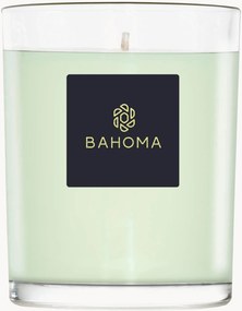 Ručně vyrobená vonná svíčka Alchemy (primule a jantarové dřevo)