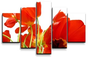 Sablio Obraz - 5-dílný Tulipány - 125x90 cm