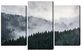 Vícedílný obraz Zamlžená 3D Lesní Krajina Nedostatek Nedostatek Přírodní plátno 60x40