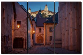 Obraz na plátně - Bratislava staré město s hradem vzadu 1265B (105x70 cm)