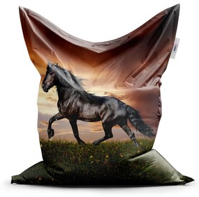Sedací vak SABLIO - Friský kůň 150x100 cm