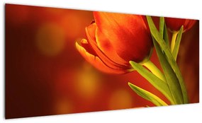 Obraz tulipánů (100x40cm)