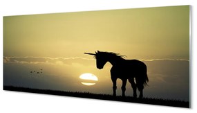 akrylový obraz Pole sunset jednorožec 120x60 cm