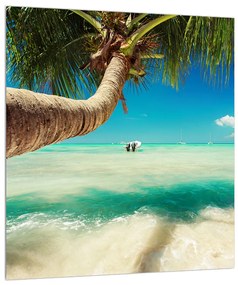 Obraz čistého moře s palmou (30x30 cm)