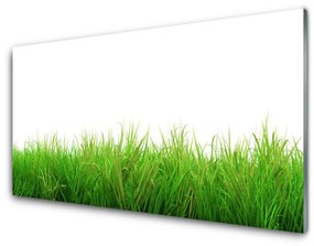 Obraz na skle Tráva Rostlina Příroda 125x50 cm