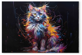 Obraz Posing Kitty - Cute Colorful Animal on Black Background