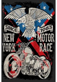 Cedule New York Motor Race