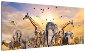Obraz - safari (100x40cm)