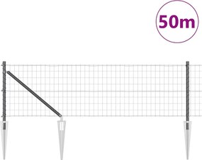 Evropský plot se hroty 50 x 0,4 m Ocel potažená PVC Šedá 3350693
