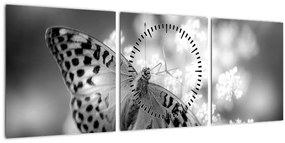 Obraz - Detail motýla opylující květ (s hodinami) (90x30 cm)