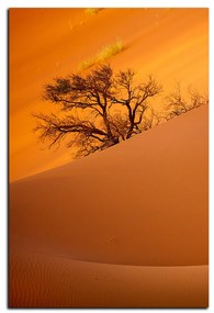 Obraz na plátně - Červené písečné duny - obdélník 7133A (60x40 cm)
