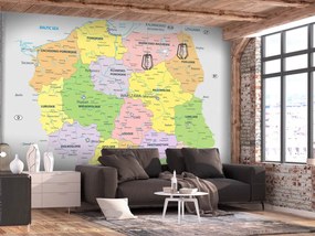 Fototapeta Mapa Polska - geografická síť s rozdělením státu na vojvodství