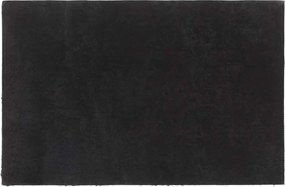 vidaXL Rohožka před dveře černá 65 x 100 cm kokosové vlákno [155578]
