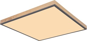 XXXLutz LED PANEL, 59/59/6.5 cm Globo - Online Only svítidla - 004558359014