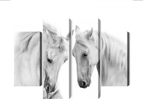 Vícedílný obraz Dva Koně Na Bílém Pozadí Nedostatek Nedostatek Přírodní plátno 120x90
