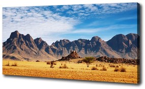 Wallmuralia Foto obraz na plátně Skály v Namíbii 100x50
