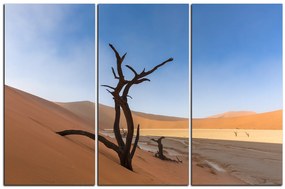 Obraz na plátně - Mrtvý strom v dunách 1130B (105x70 cm)