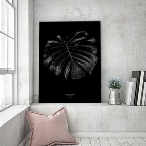 Gario Obraz na plátně Detail Monstera - Dmitry Belov Rozměry: 40 x 60 cm