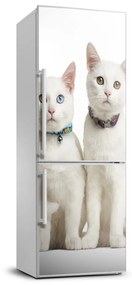 Wallmuralia Nálepka fototapeta lednička Dvě bílé kočky 60x180 cm