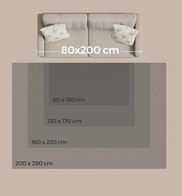 Koberec Darvin 80x150 cm šedý