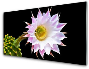 Obraz na skle Květ 100x50 cm