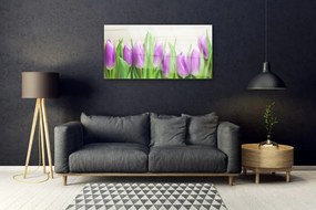 Plexisklo-obraz Tulipány Květiny Příroda 100x50 cm