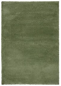 Zelený koberec 120x170 cm – Flair Rugs