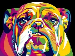NORIMPEX Malování podle čísel Barevný Bulldog / 40x50 cm