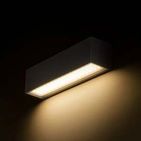 RED R13641 CAMARGUE nástěnná antracitová satinované sklo 230V LED 6W IP65 3000K - RED - DESIGN RENDL