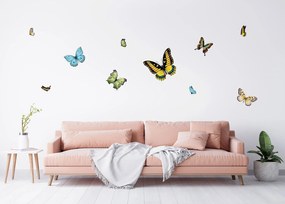 Samolepka na zeď Variace Barevných Motýlů | 65 x 85 cm | DF1069