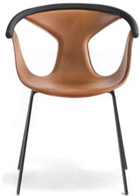 PEDRALI - Židle FOX 3728 - DS