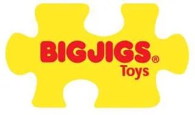 Bigjigs Toys Sada dětských hudebních nástrojů