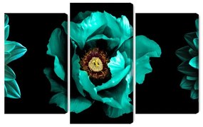 Vícedílný obraz Tyrkysové Květy Na Černém Pozadí Nedostatek Nedostatek Přírodní plátno 120x80
