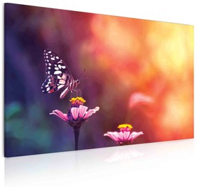 Malvis ® Obraz Motýl na květině Velikost: 100x60 cm