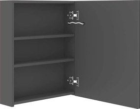 LED koupelnová skříňka se zrcadlem šedá 50 x 14 x 60 cm 326482