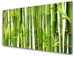 Obraz na skle Bambusové Výhonky Listy Bambus 100x50 cm
