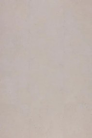 Vinylová podlaha Berry Alloc Zenn 55 Delhi 6 mm 60002238