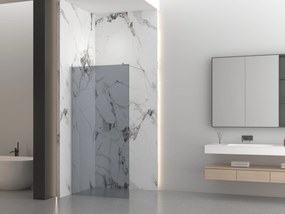 Erga Paris, sprchová zástěna Walk-In 60x200 cm, 8mm šedé sklo, broušená ocel, ERG-V02-PARIS-060x200-GR-BS