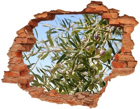 Wallmuralia Samolepící díra nálepka Olivovník 90x70 cm