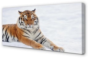 Obrazy na plátně Tiger winter 125x50 cm